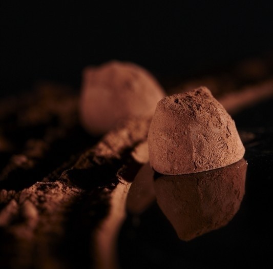 Cocoa Powder - Puratos